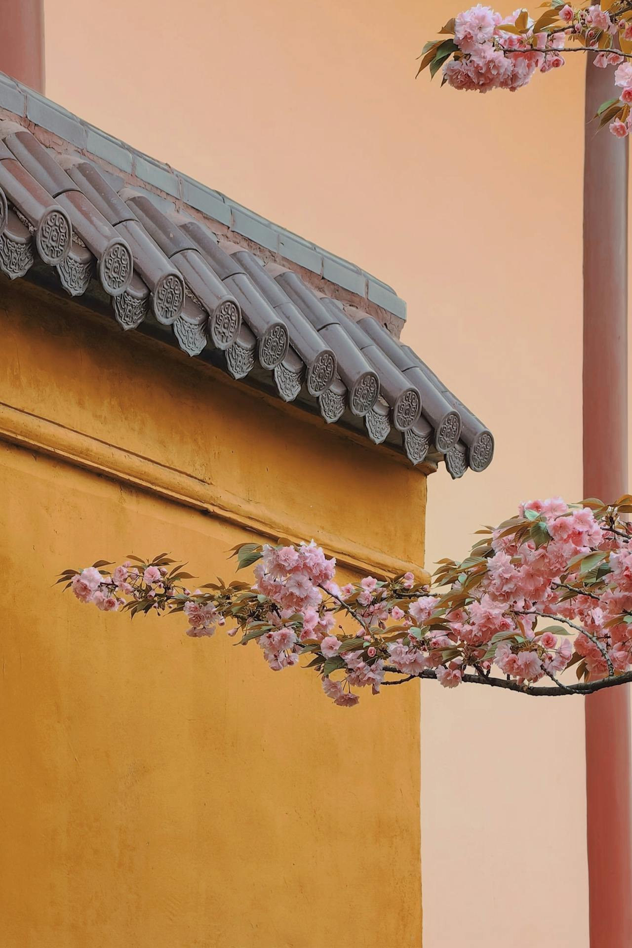 About Us – Ryan Painting